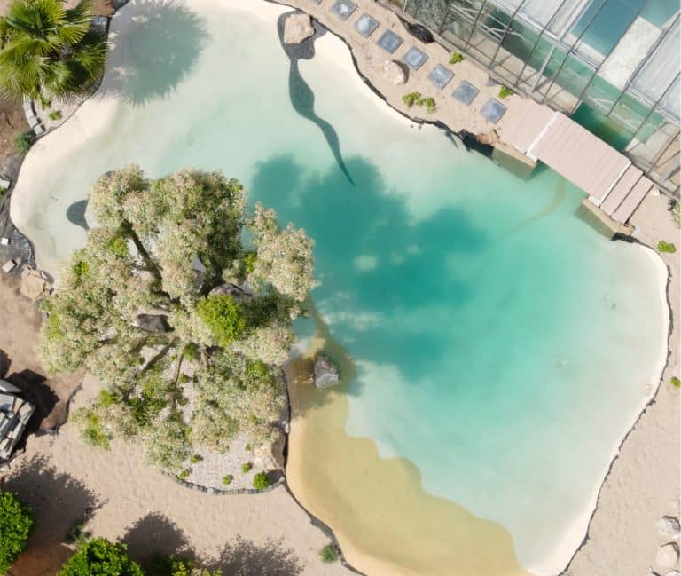 Beachlike Swimming Pool Design For Your Backyard