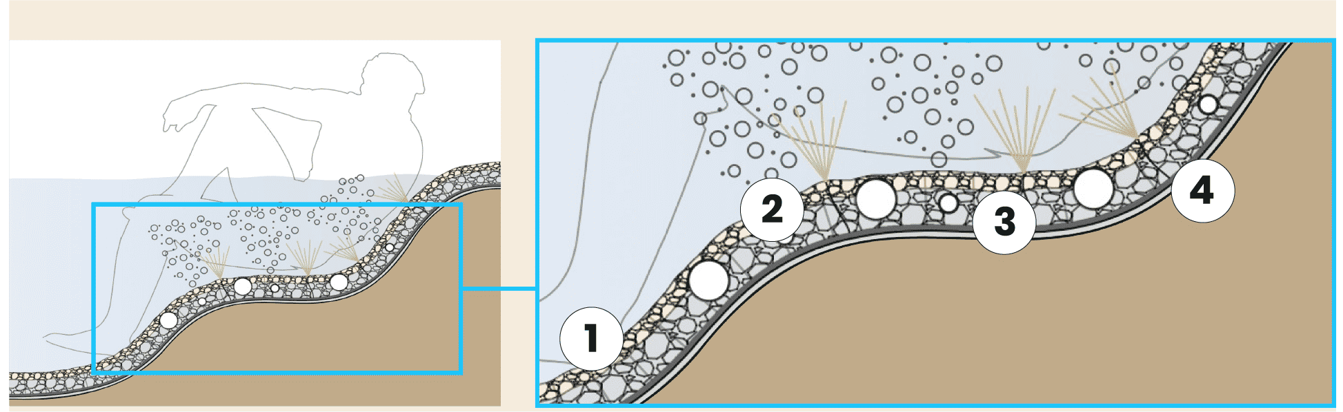 Beachlike Swimming Pool Design For Your Backyard